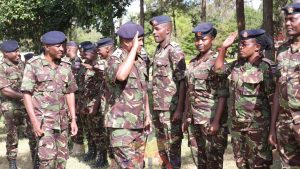 KDF Salary Guide: The Ranks, Pay and Allowances in the Kenyan Military ...